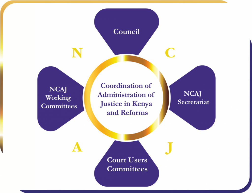 National Council on the Administration of Justice (NCAJ) – The Judiciary