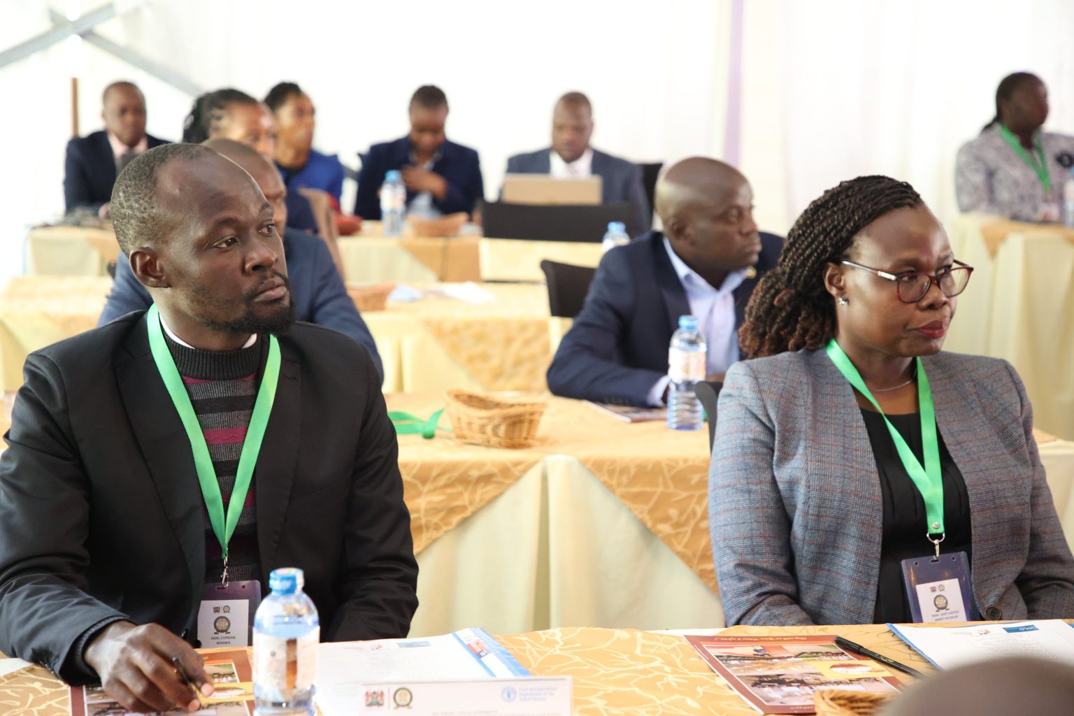 ELC unveils two specialised divisions – The Judiciary